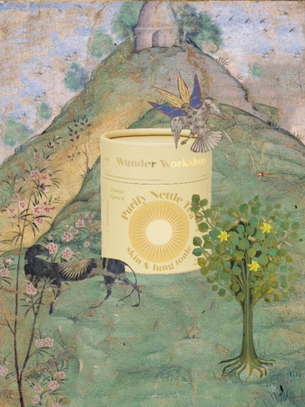 Immunity – Wunder Workshop