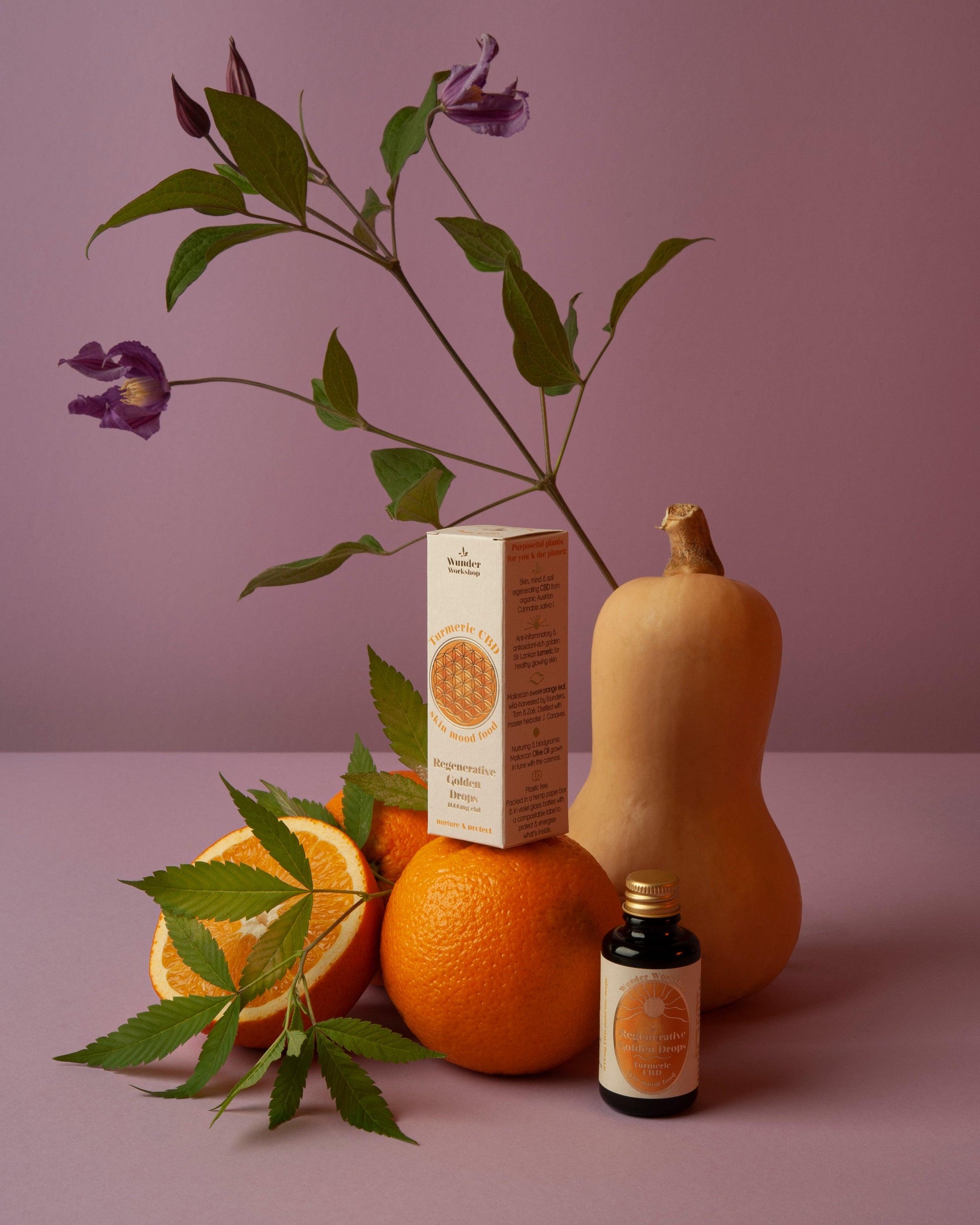 WUNDER WORKSHOP – Wunder Workshop